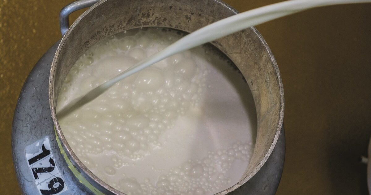Milchpulver | Felchlin